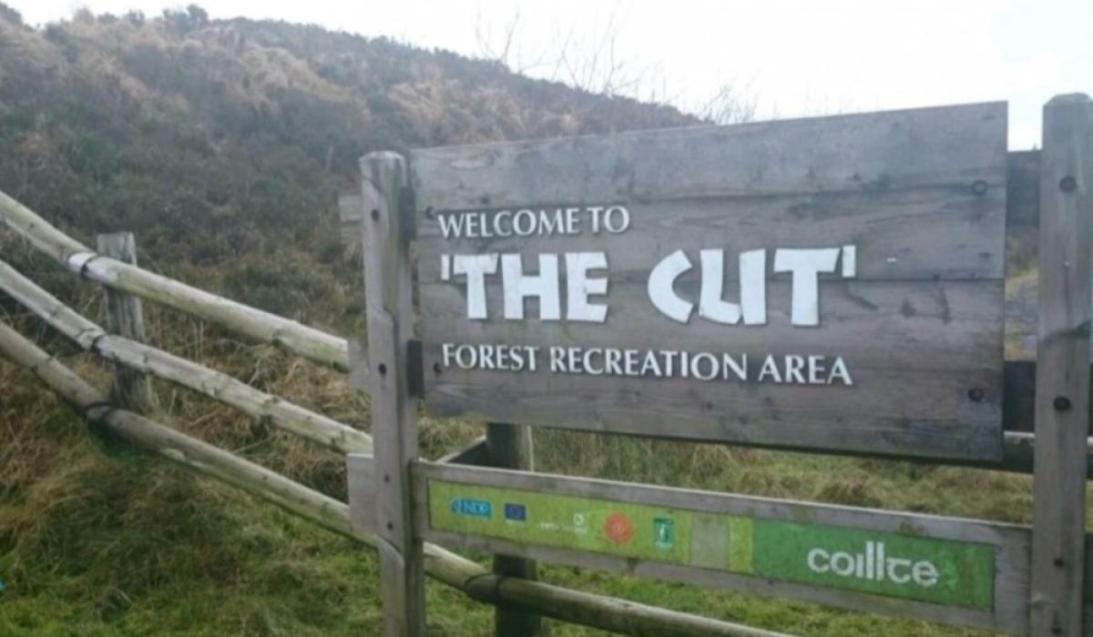 Notoriously 'hard to find' Laois leisure spot's viral signpost has been ...