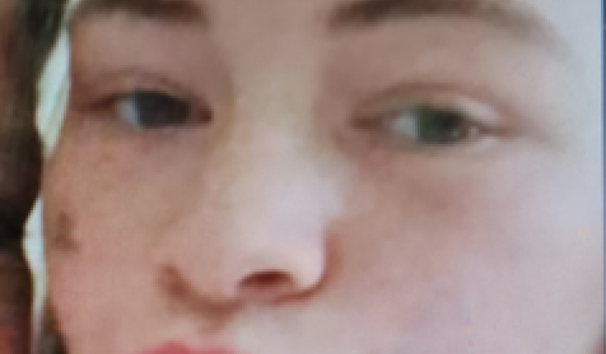 Family and gardaí concerned as 18-year-old goes missing from home in Wicklow - Limerick Live