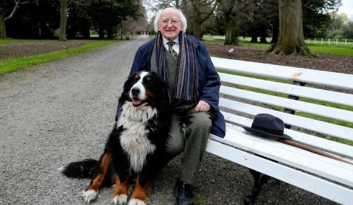 NATIONAL: President Michael D Higgins receives award in memory of his ...