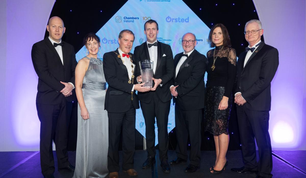 Limerick City and County Council named Local Authority of the Year 2023 ...