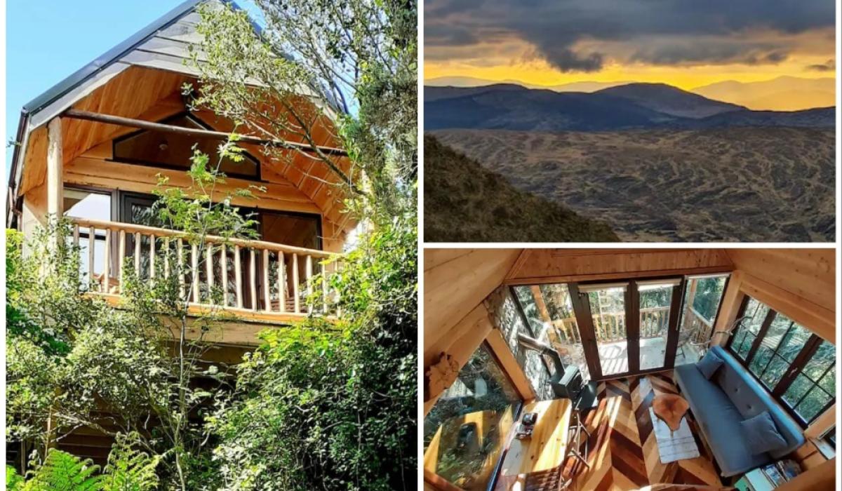 PICTURES: Unique treehouse accommodation in Ireland offers a tranquil ...