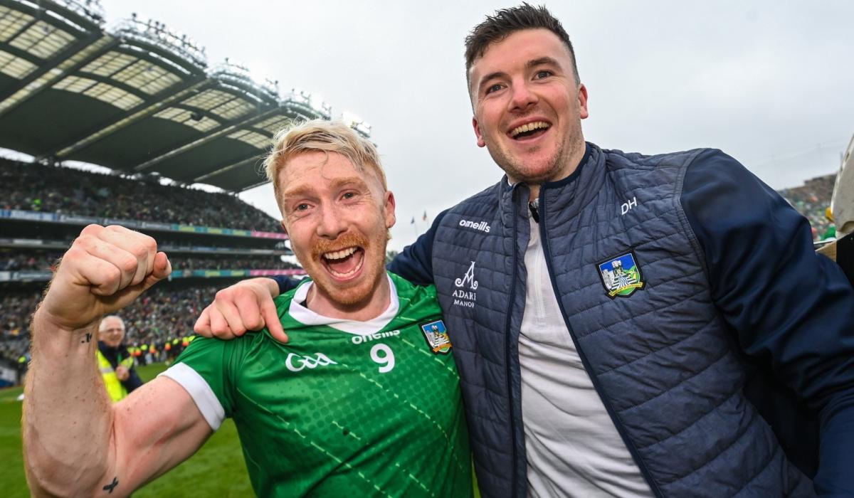 In Pictures: Relive Limerick's 2023 All-Ireland hurling final win over ...