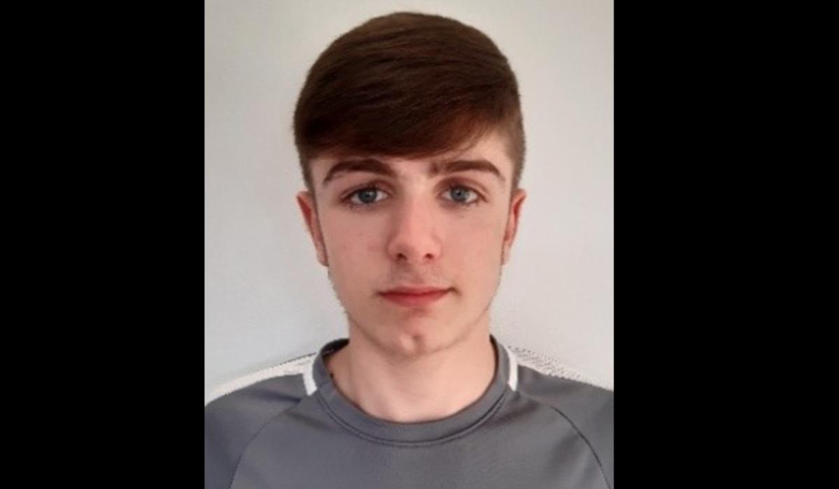 ALERT: Gardai launch search for 14-year-old boy missing since before Christmas - Limerick Live