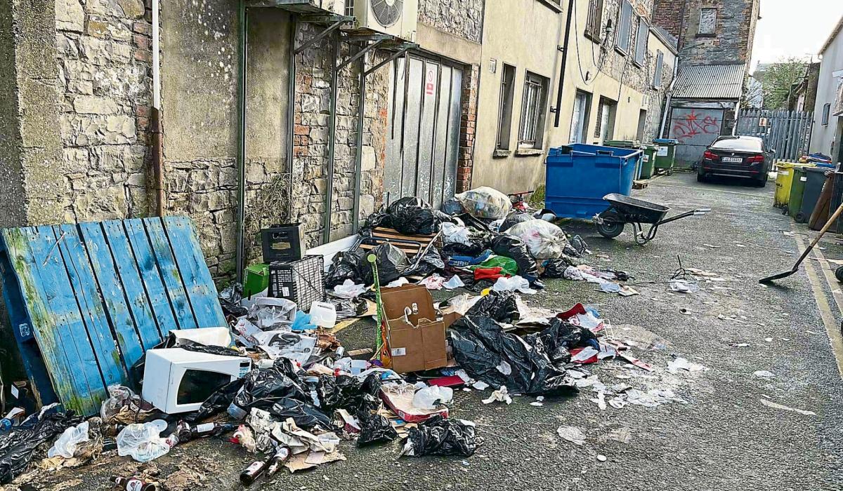 Disappointment for Limerick as results of final IBAL litter survey of ...