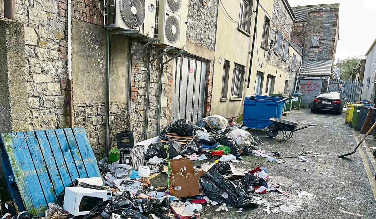 Survey ranks Limerick as the most ‘littered’ city centre in the entire ...