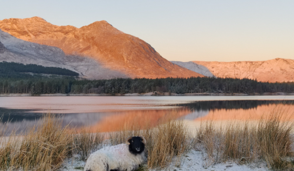 PICTURES: The best photos of beautiful Ireland covered in snow - Page 1 ...