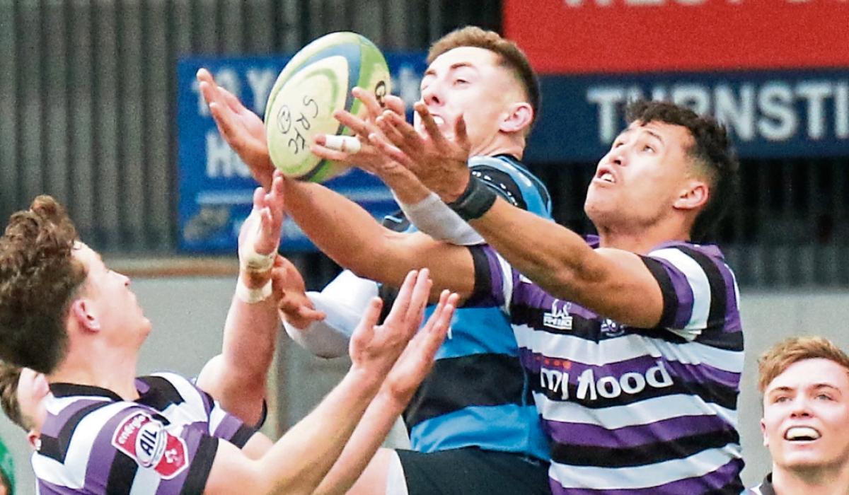 Six Limerick clubs chase crucial All-Ireland League wins - Limerick Live