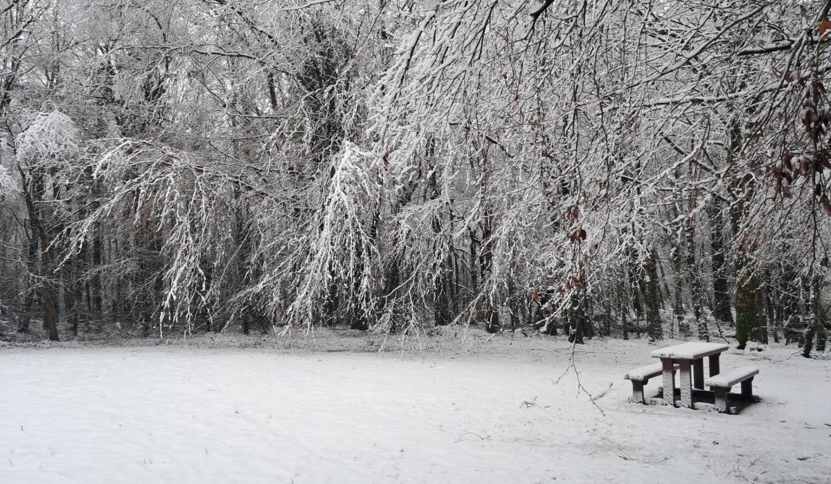 PICTURES: Ireland transforms into a picture-perfect winter wonderland ...