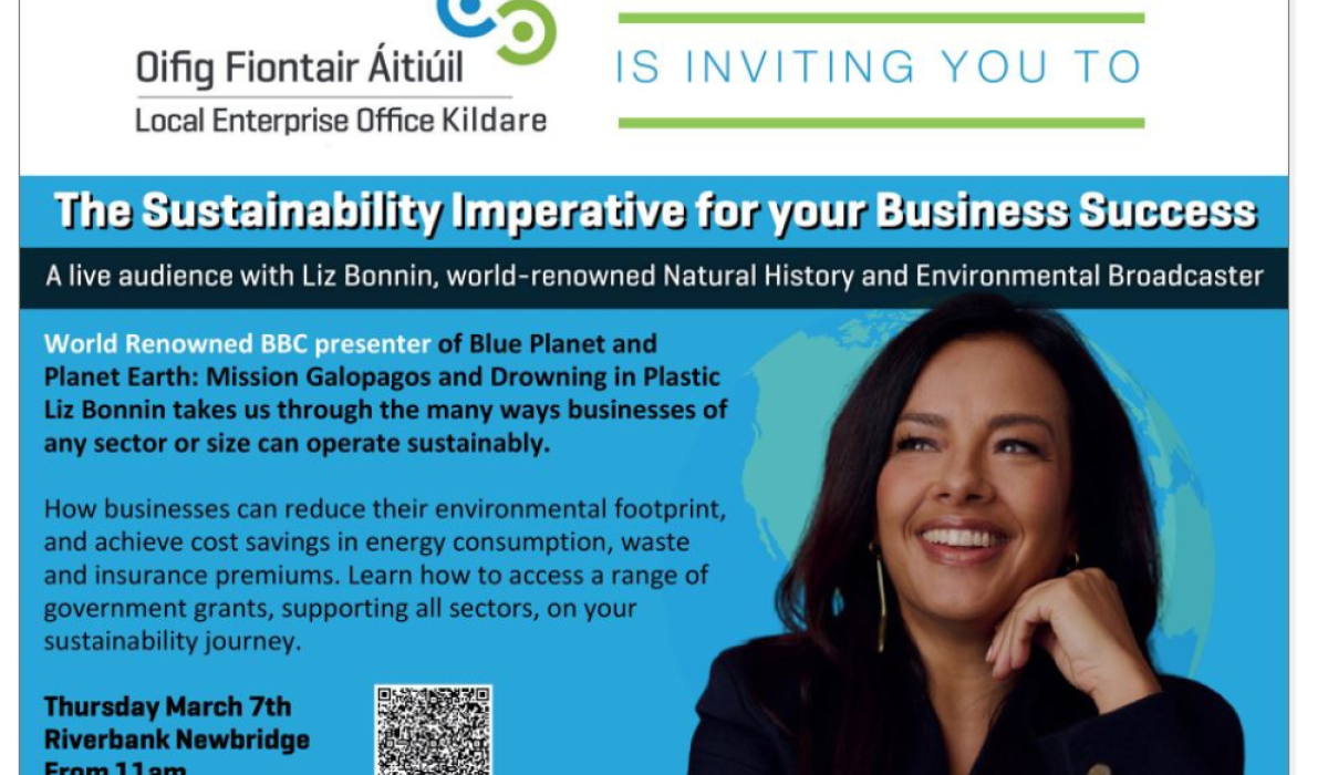 Kildare businesses looking forward to 20 local enterprise events ...