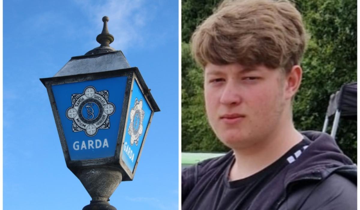 Gardaí issue appeal to find missing teenager not seen by family since last week - Limerick Live