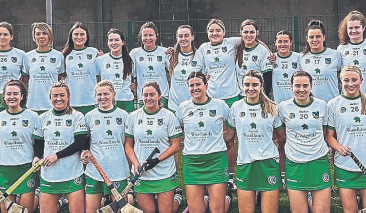 Limerick camogie teams look to push on after hugely successful opening ...