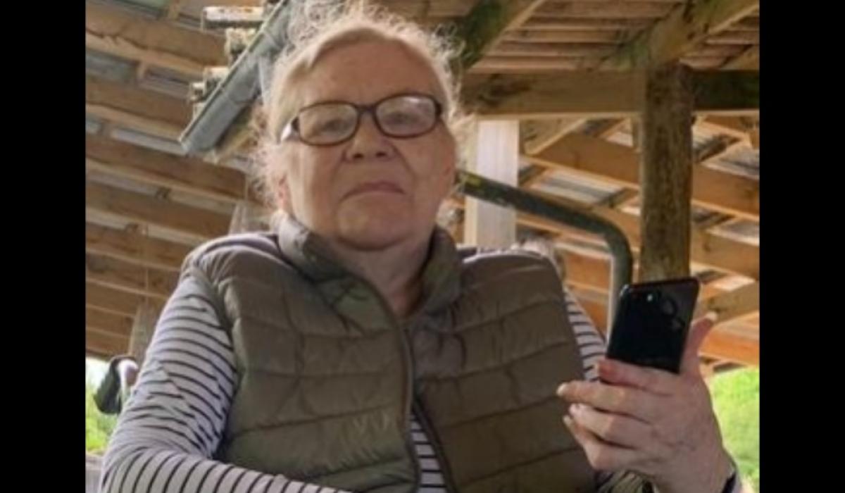 National: Garda search for missing 65-year-old woman concludes - Limerick Live