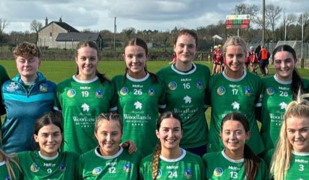 Limerick junior camogie side records back-to-back league victories ...