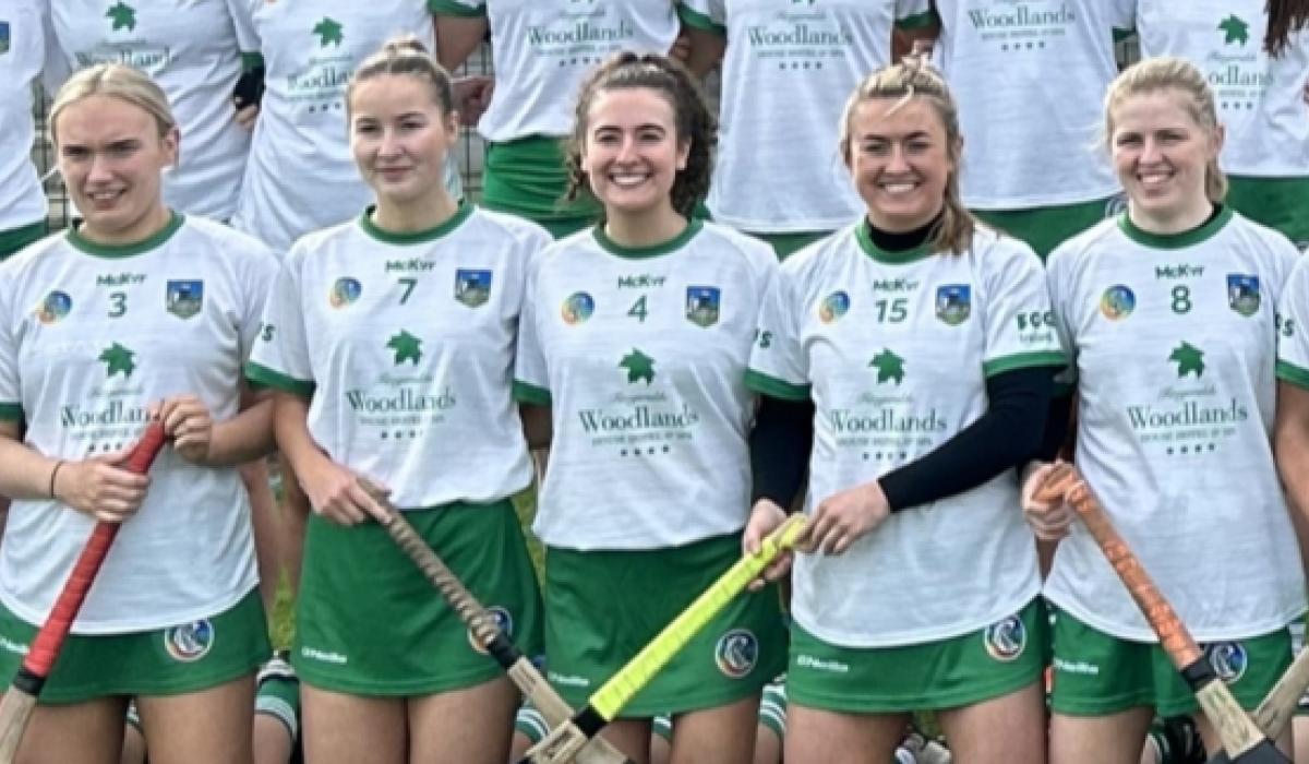Limerick seniors suffer first camogie league defeat as Dublin prevail ...