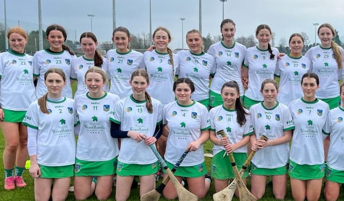 Limerick minor camogie squad continue success in A Shield All-Ireland ...