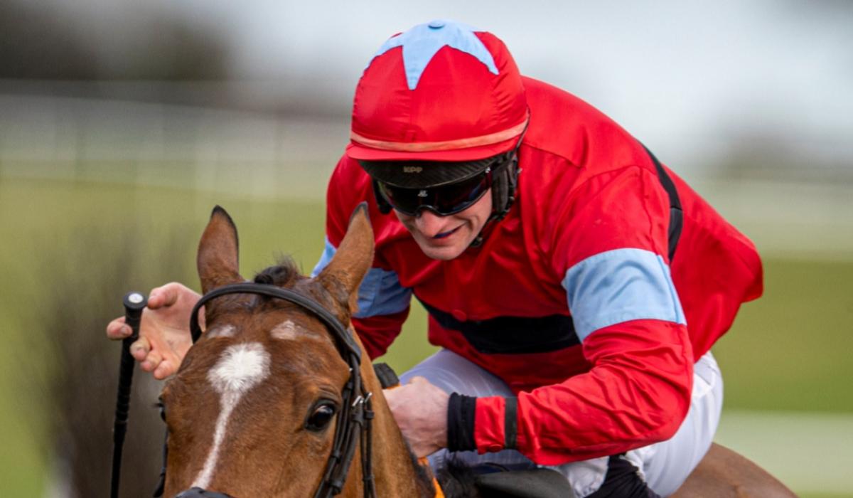 Knocklong success among highlights of big week for Limerick racing ...