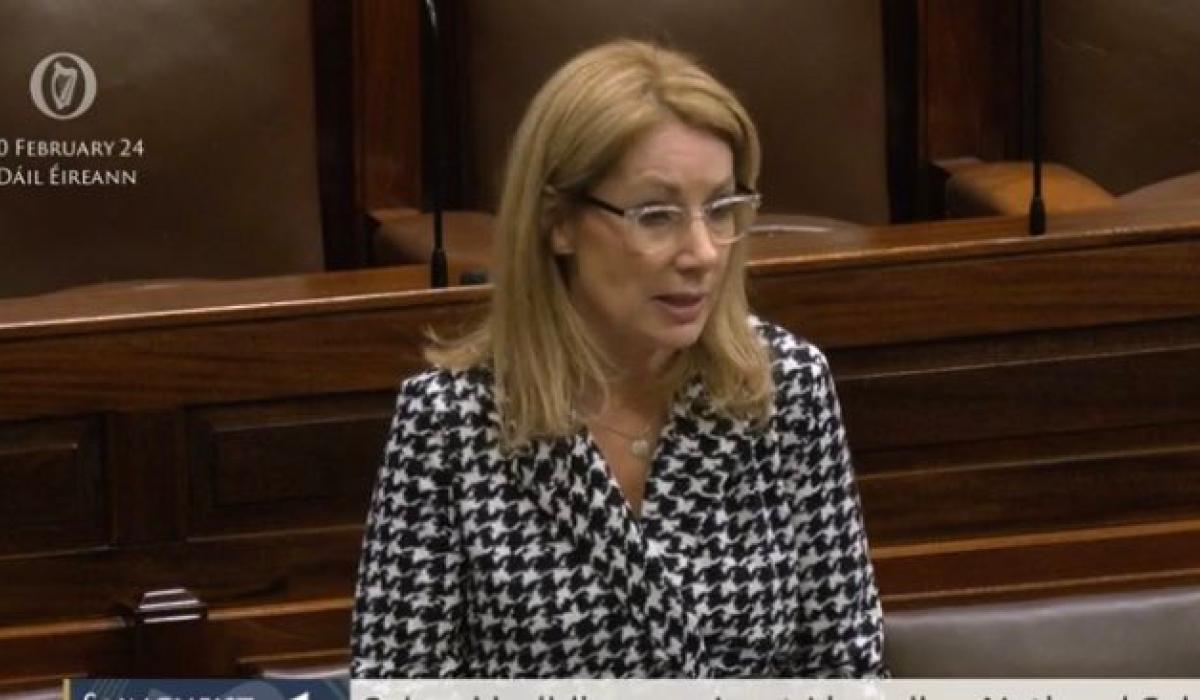 Josepha Madigan steps down as Minister of State in second shock ...