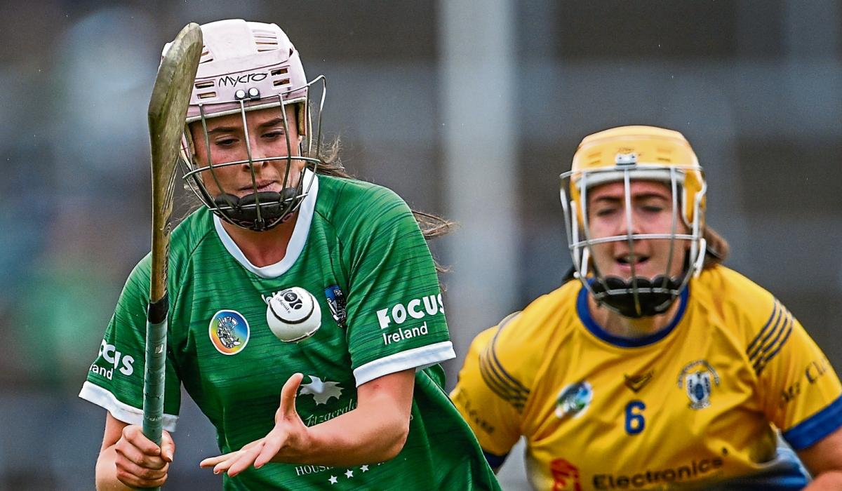Limerick senior camogie side to face Wexford in league clash named ...