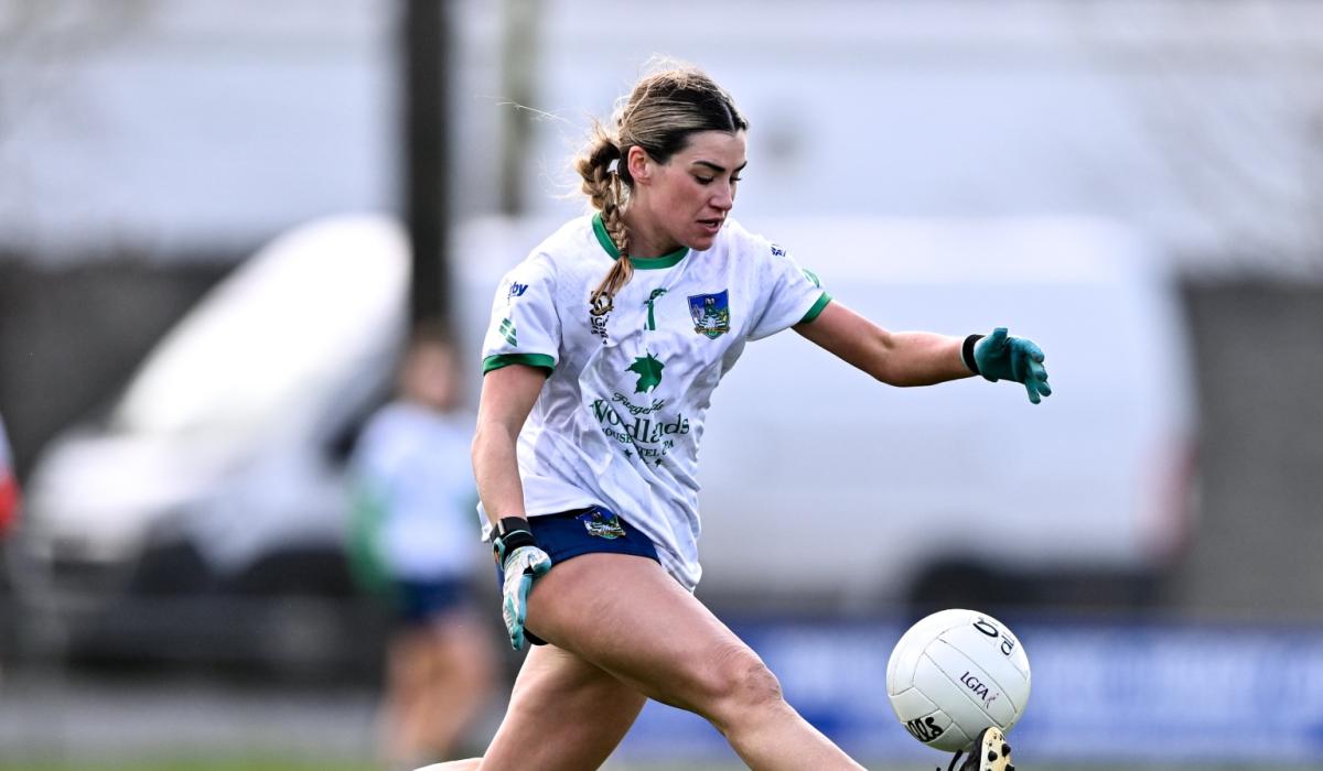 Three Limerick GAA players named on the 2024 Lidl National League team ...