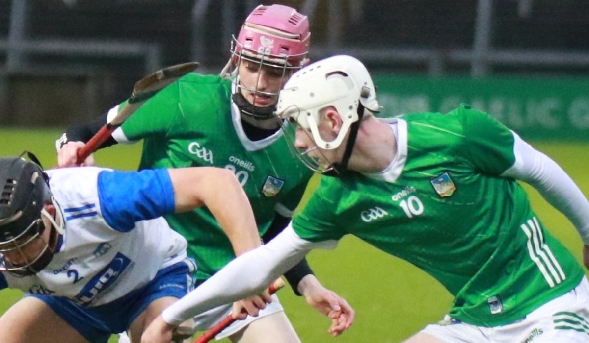 Limerick minor hurlers make Munster championship exit - Limerick Live