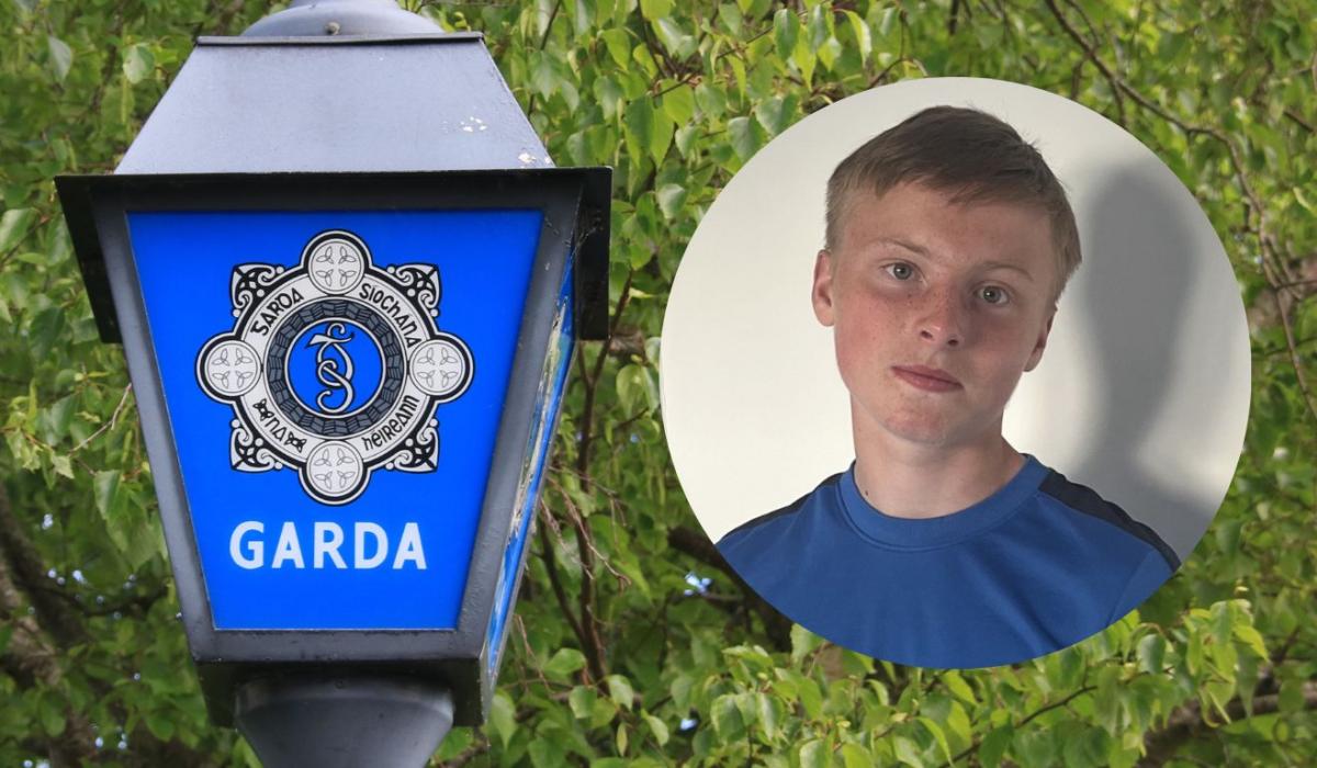 National: Gardai seek help in locating missing teenager - Limerick Live