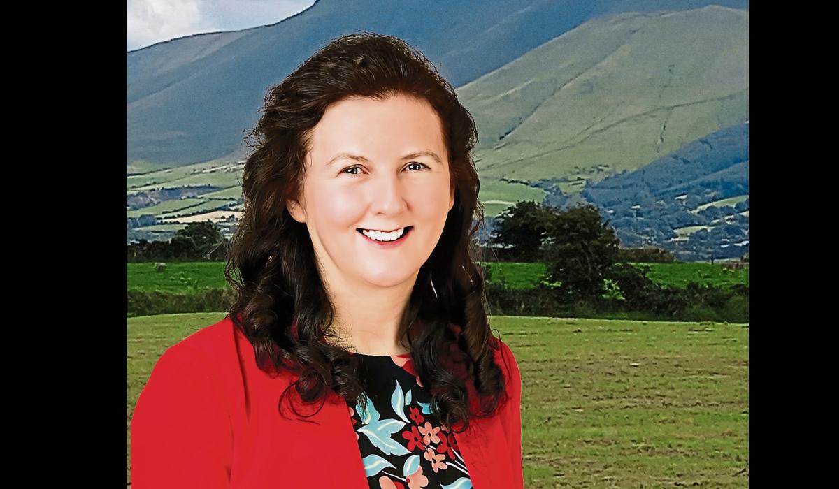 Prominent Limerick solicitor to run in local election - Limerick Live