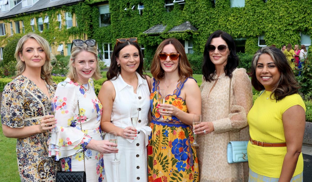 PICTURES: ‘Limerick you’re a lady’: Luncheon raises funds for St Gabriel’s - Page 1 of 27 ...