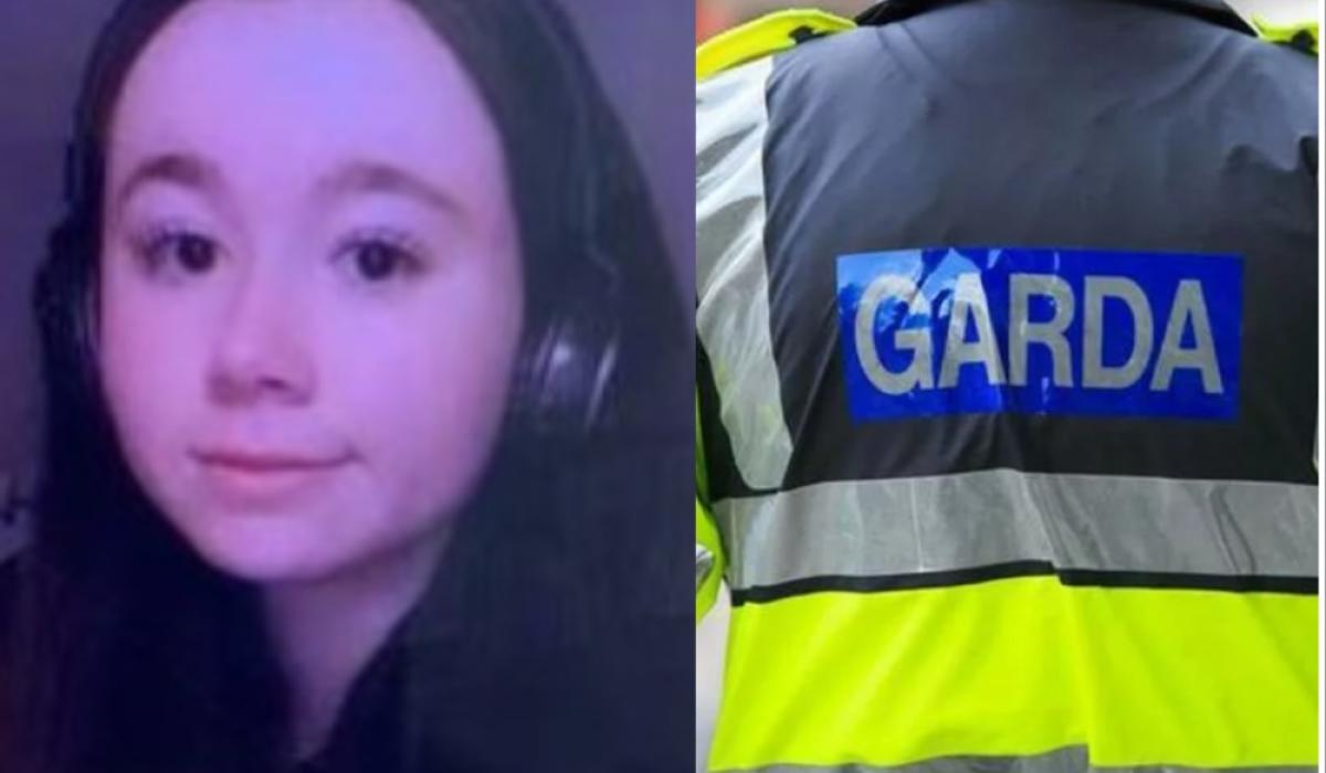 Gardaí seeking assistance in search for missing Cavan teenager (17) - Limerick Live