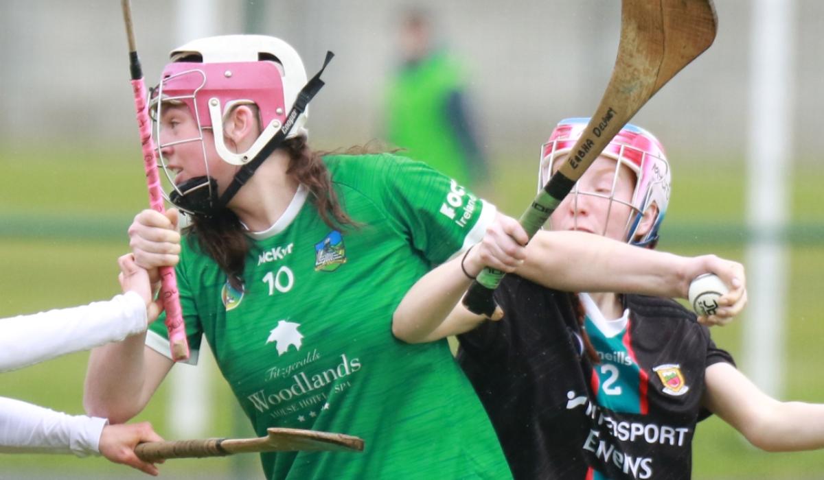 Limerick junior camogie team record resounding All-Ireland Championship ...
