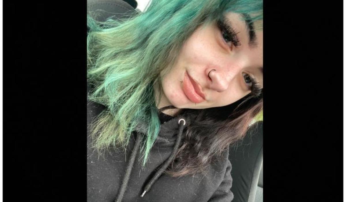 'Concerned' gardai appeal for help in finding missing 15-year-old girl - Limerick Live