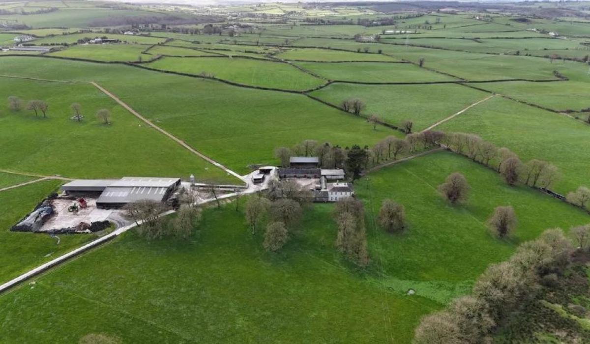'Record price': Irish farm sells for over €4m in hotly-contested ...