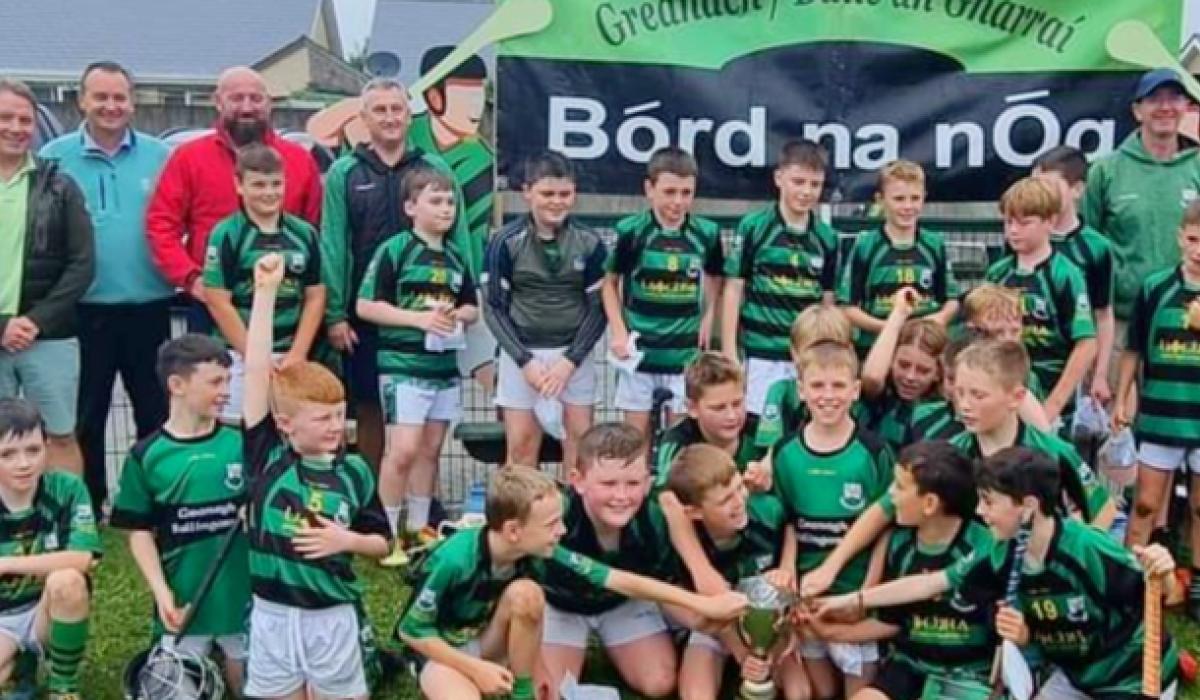 Granagh Ballingarry GAA to run Virtual Voyage fundraiser from ...