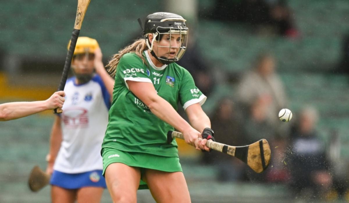 Limerick senior camogie side to face Waterford in All-Ireland ...