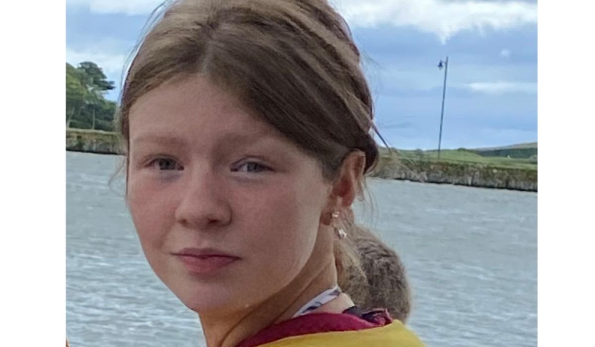 Urgent appeal for help in locating missing 14-year-old is stood down - Limerick Live