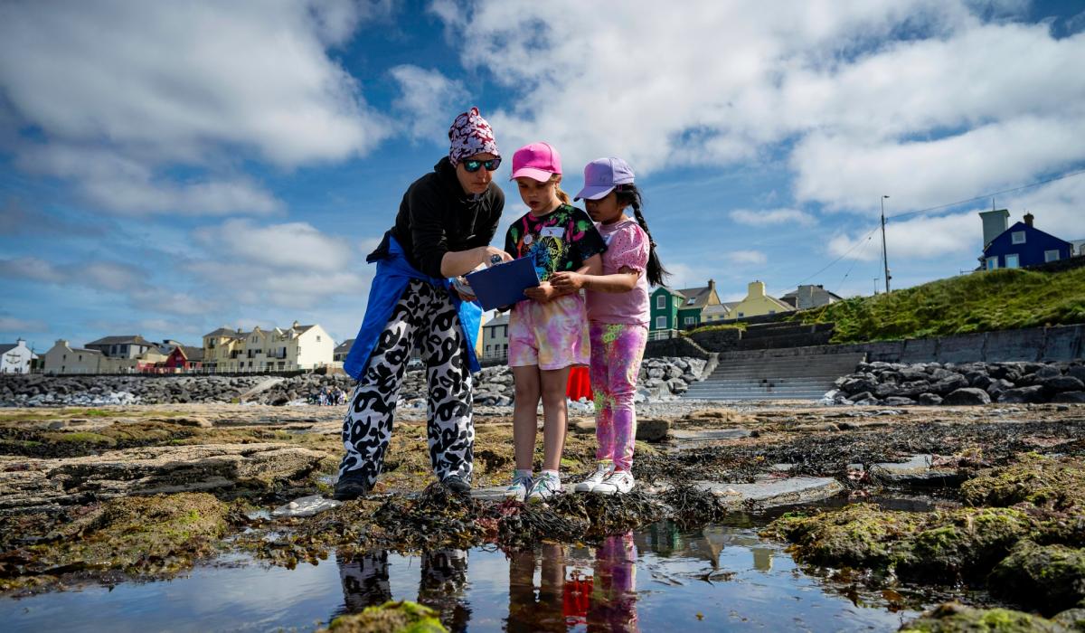 Limerick students comb the beach for school project - Limerick Live