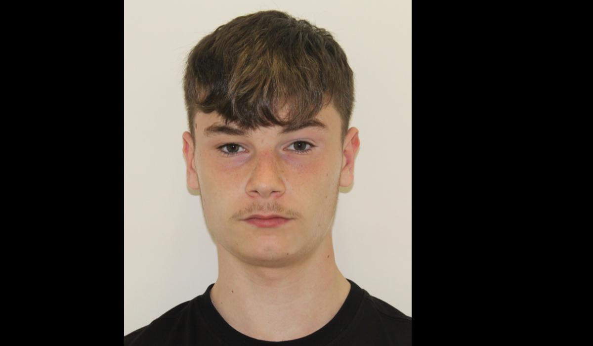 ALERT: Gardaí issue appeal to find missing teenager last seen at weekend - Limerick Live