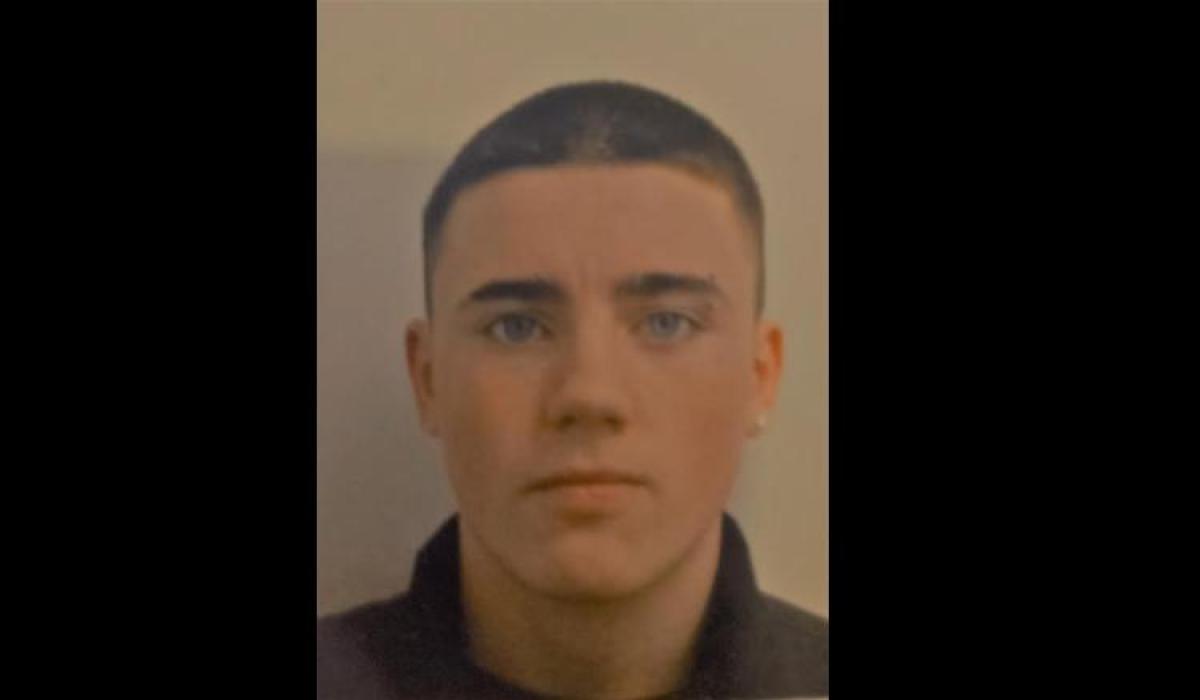 Gardaí stand down appeal for missing 16-year-old boy after 11-day search - Limerick Live