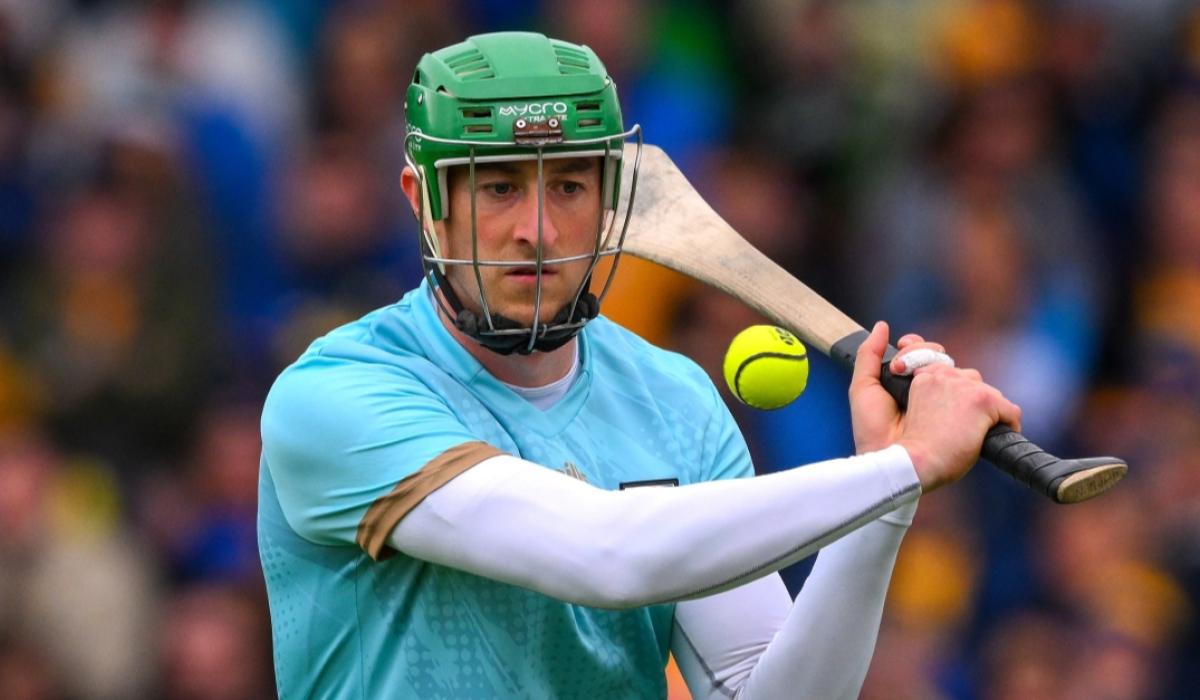 Two Limerick players named on RTEs Sunday Game Hurling Team of the Year ...