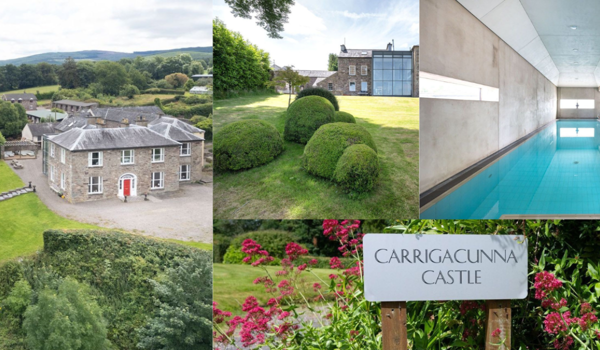 PICTURES: This Irish castle with a pool and stunning views could be ...