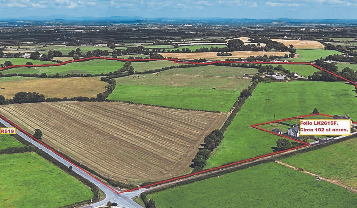 Multi-million euro Limerick farm to go under hammer - Limerick Live