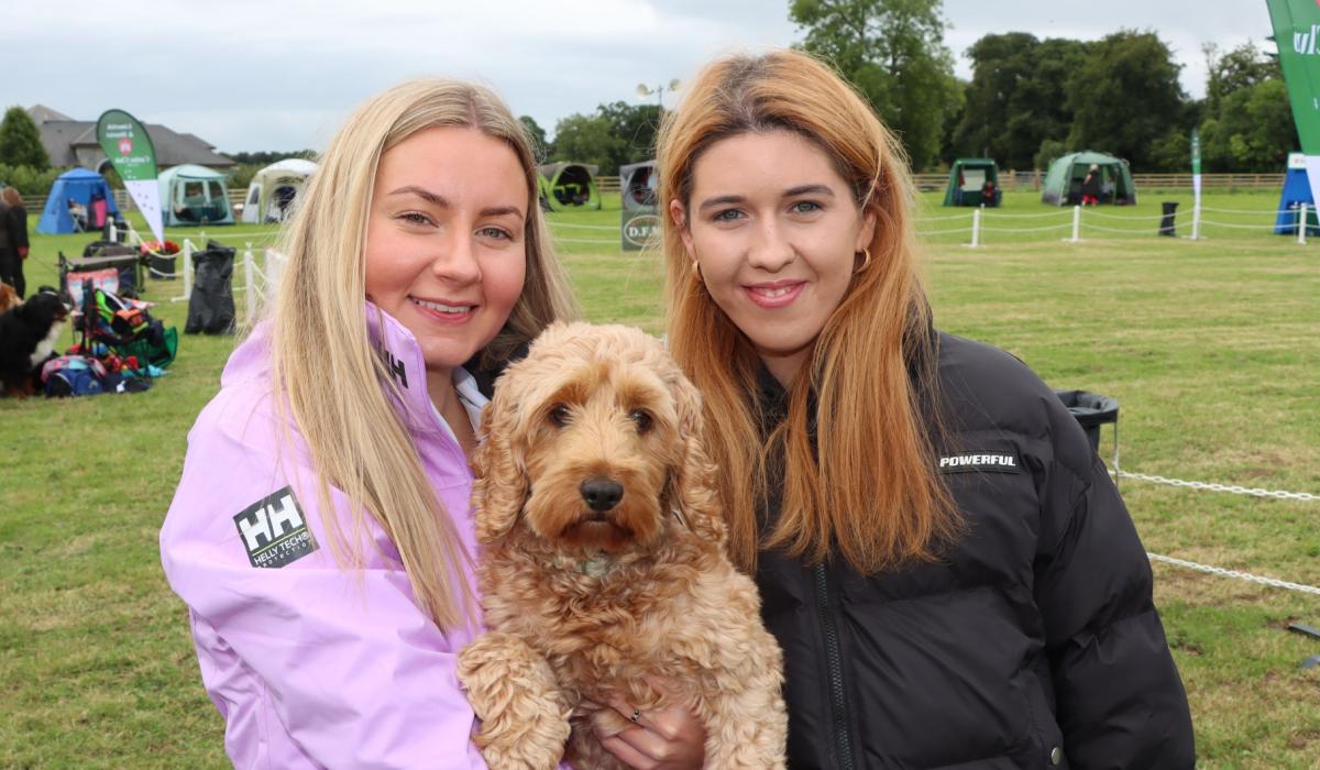 PICTURES: It's a dog's life - fun all around at the annual Limerick ...