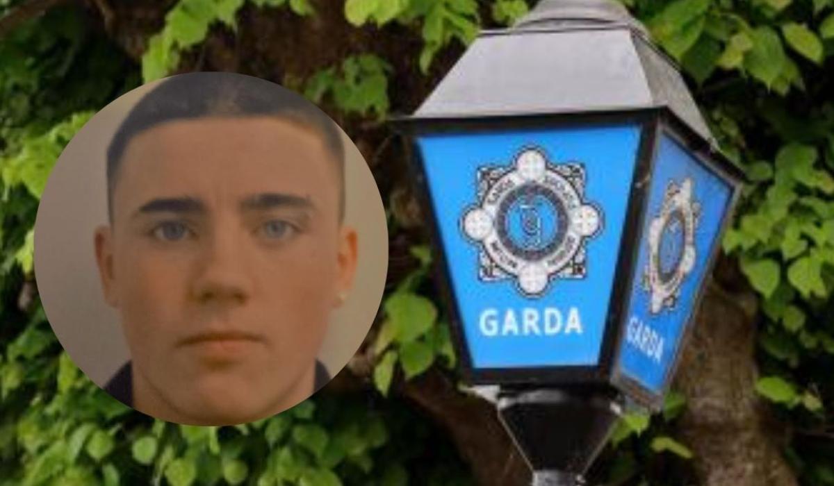 ALERT: Gardaí renew appeal for Meath 16-year-old missing for over a week - Limerick Live