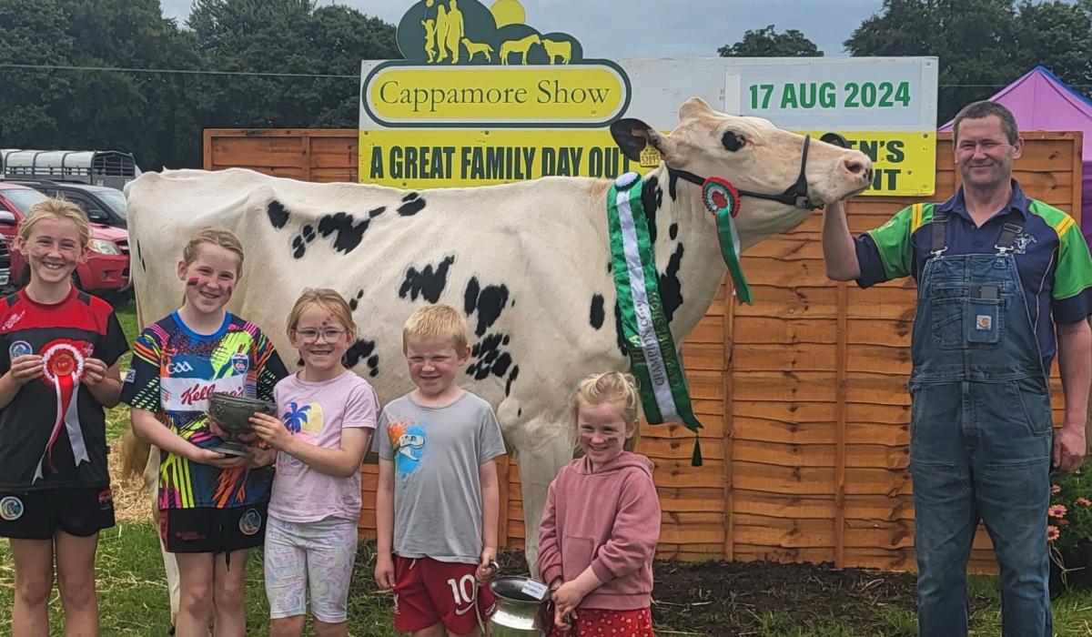 ‘Curtin’ not fallen yet on remarkable year for busy Limerick pedigree ...