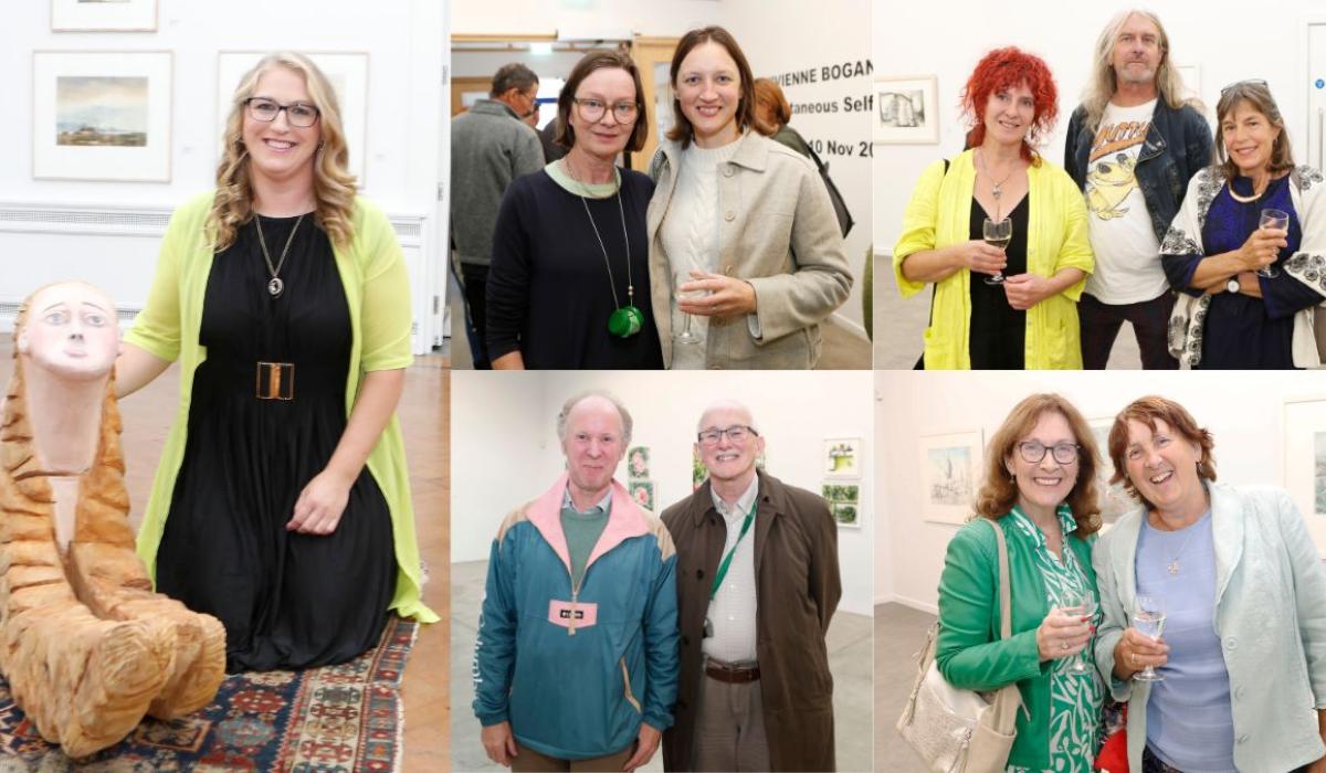 PICTURES: Crowds turn out for launch of Limerick-born artist's first ...