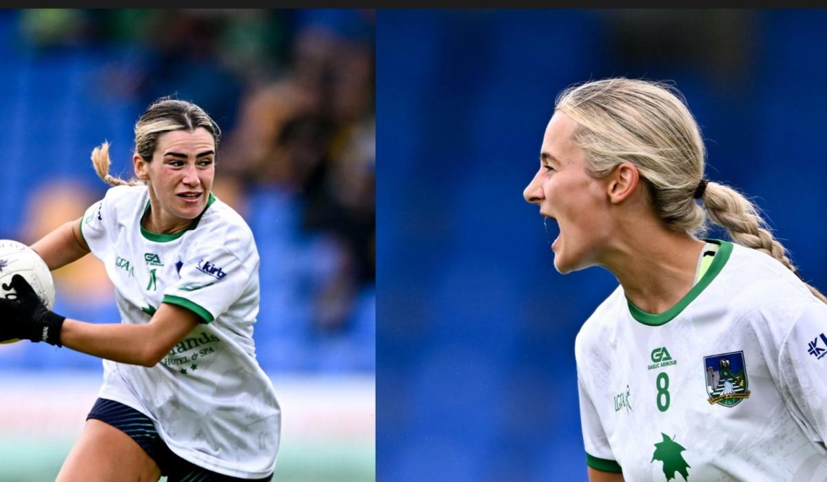 Two Limerick players named on 2024 TG4 All-Ireland Junior Team of the ...