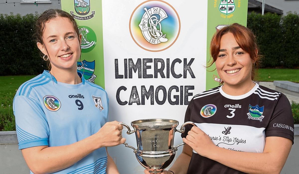 Limerick camogie championship semi-finals to take place this weekend ...