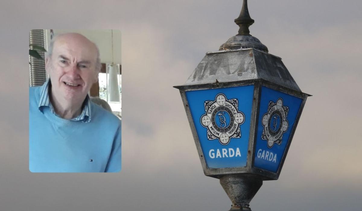 ALERT: Gardai issue urgent appeal for help in locating elderly man missing in Dublin - Limerick Live
