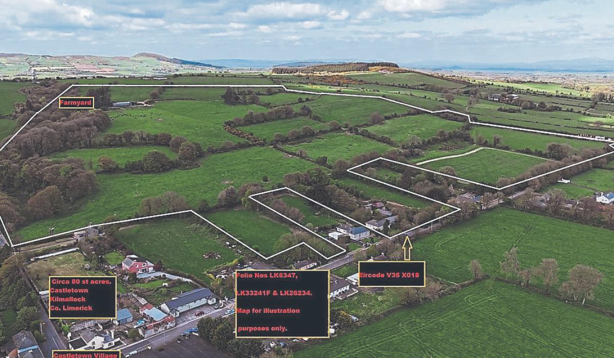 Your farm is your Castle: Million euro Limerick land up for auction ...