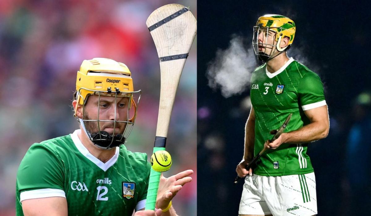 Limerick All-Ireland winners in Ireland squad for Shinty/Hurling ...