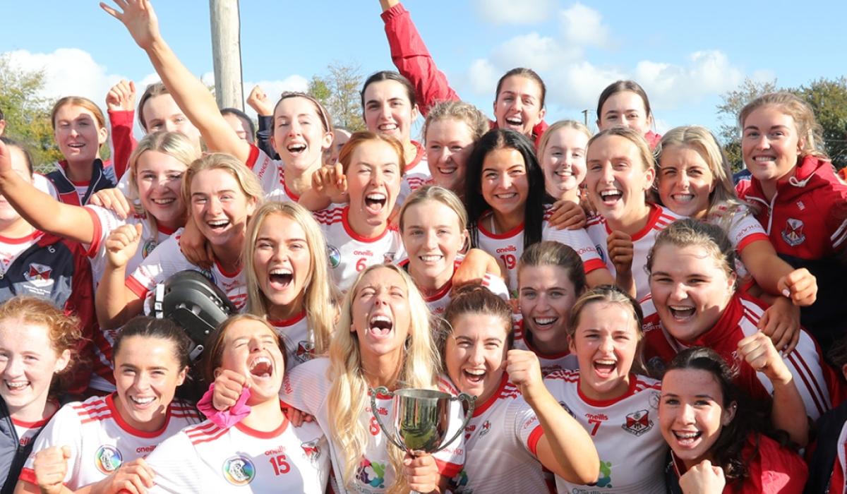 Croagh-Kilfinny secure senior status with Griffins Coaches Intermediate ...